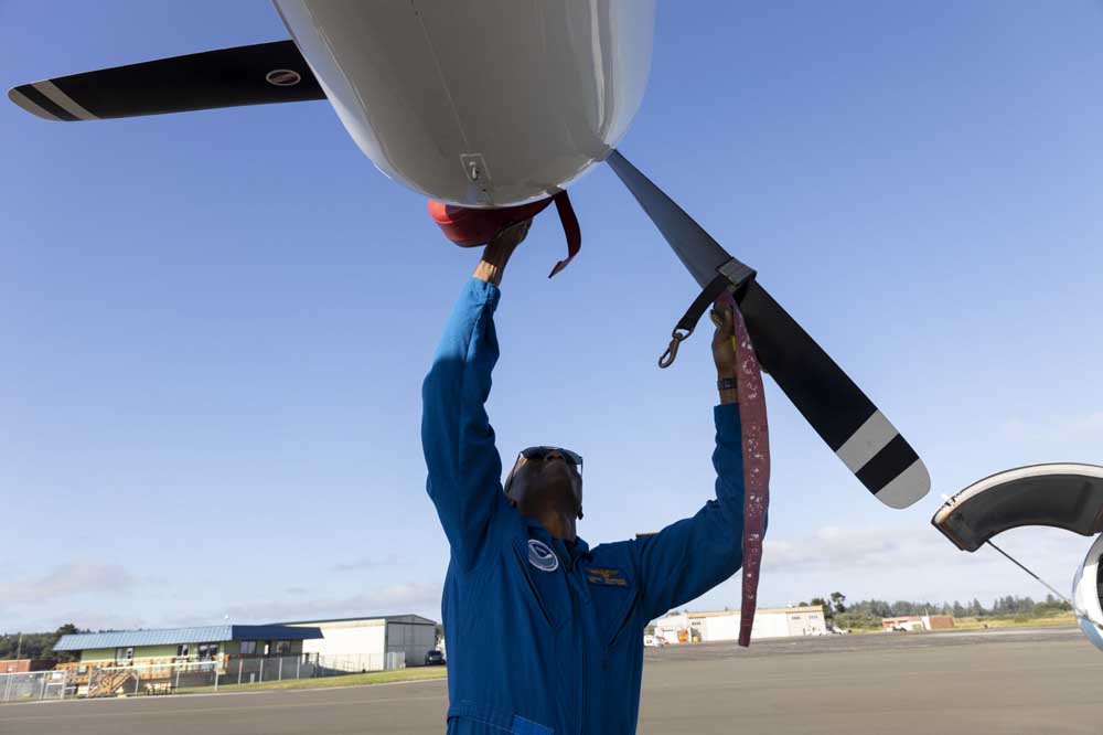 Scientists use aerial surveys to search for leatherback turtles ...