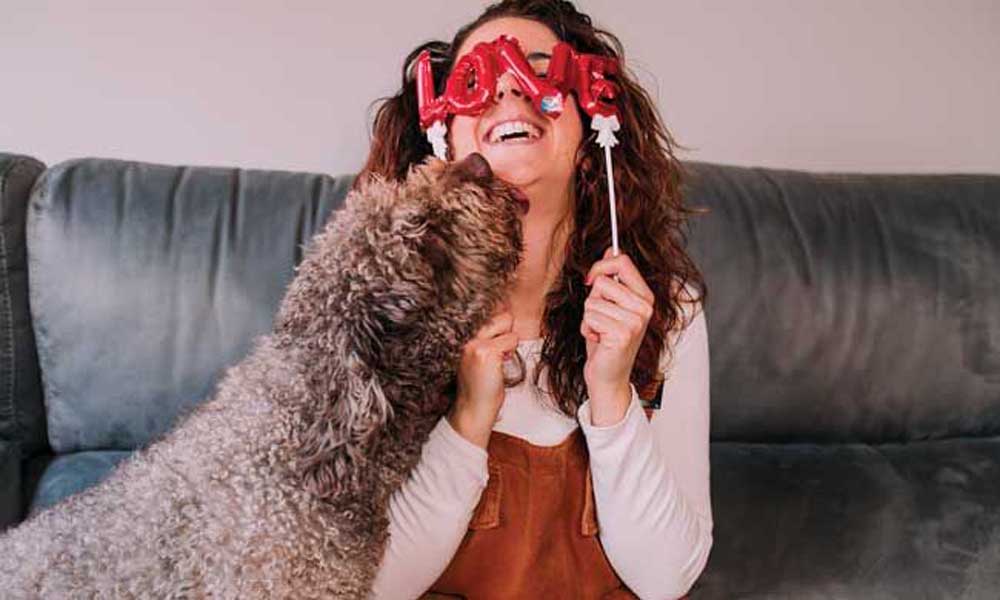 4 Vet-Approved Tips to Show Your Pets Love this Valentine’s Day ...