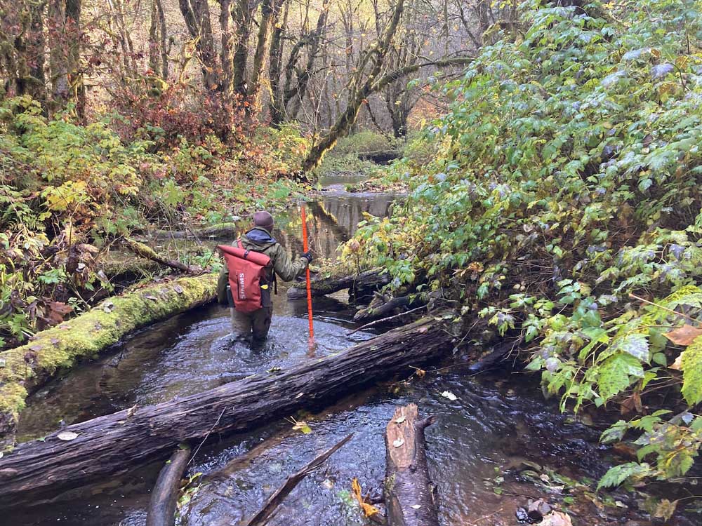Oregon aims to change narrative about beavers | Seaside Signal