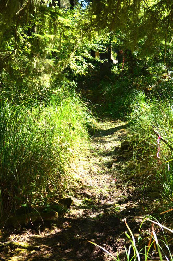 Duncan’s Crossing finds no bridge too far | Seaside Signal